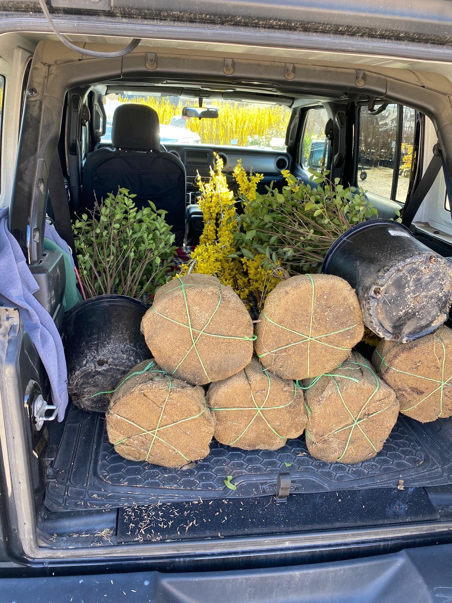 Cape Cod Wholesale Nursery - East Falmouth, MA - Nextdoor
