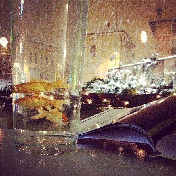 Foto Gek di Fenaroli Angelo & C. SNC - Nextdoor