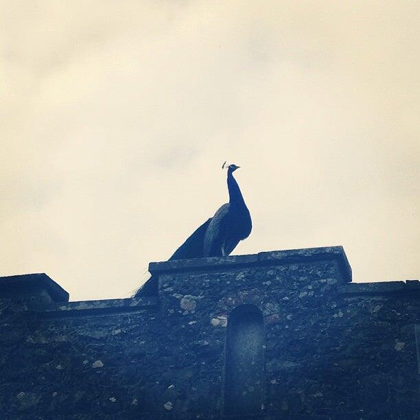 Castle Upton - Templepatrick - Nextdoor