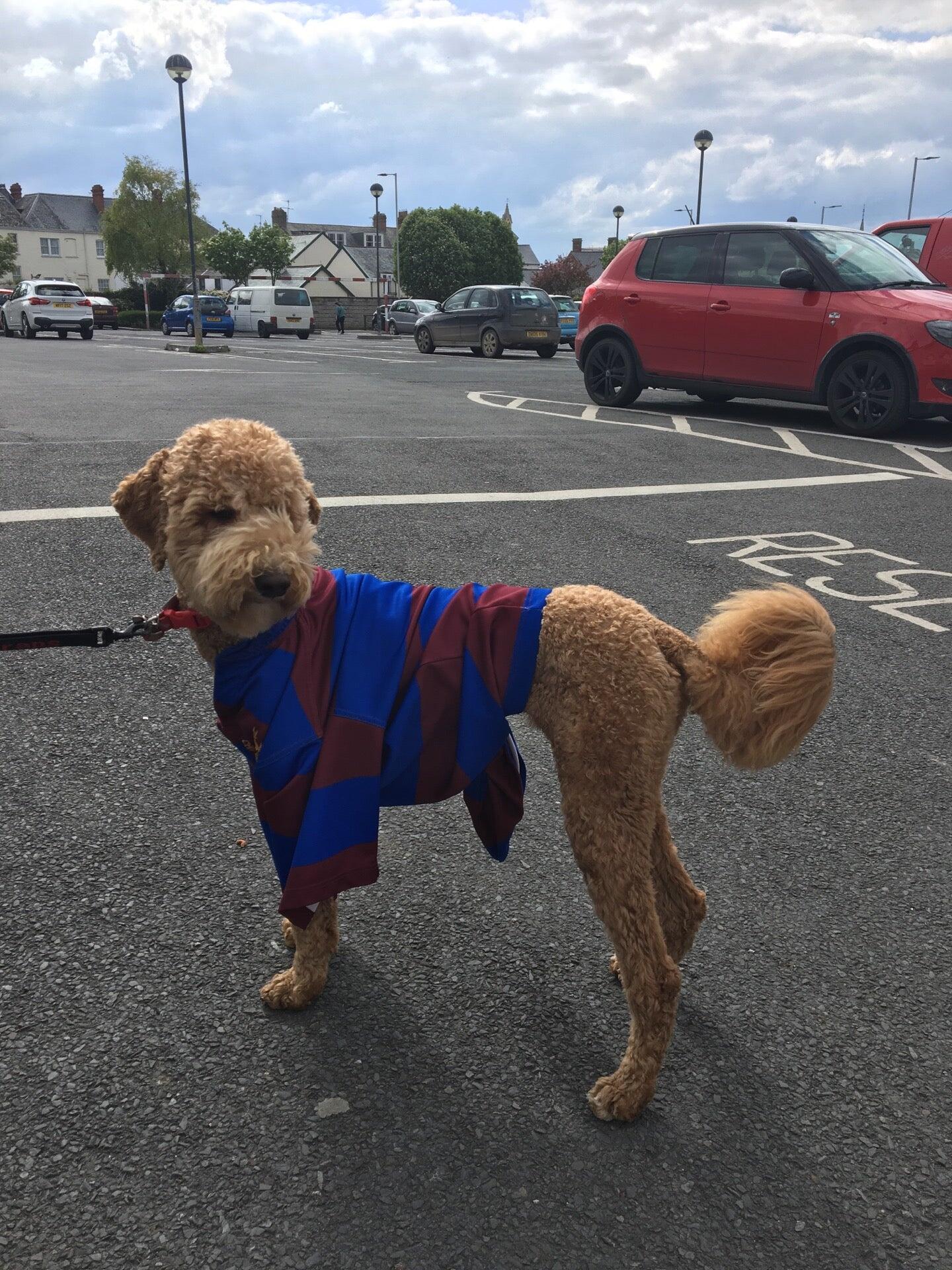 Bideford Rugby Club - Bideford - Nextdoor