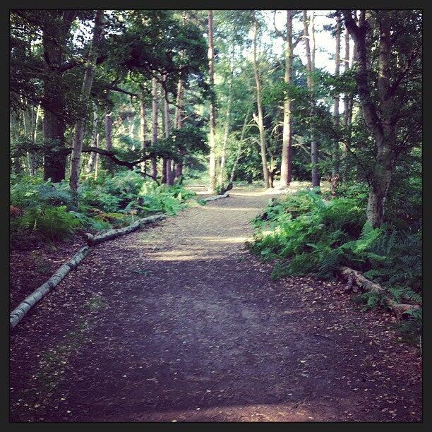 Warren Farm Lodge - Sutton - Nextdoor