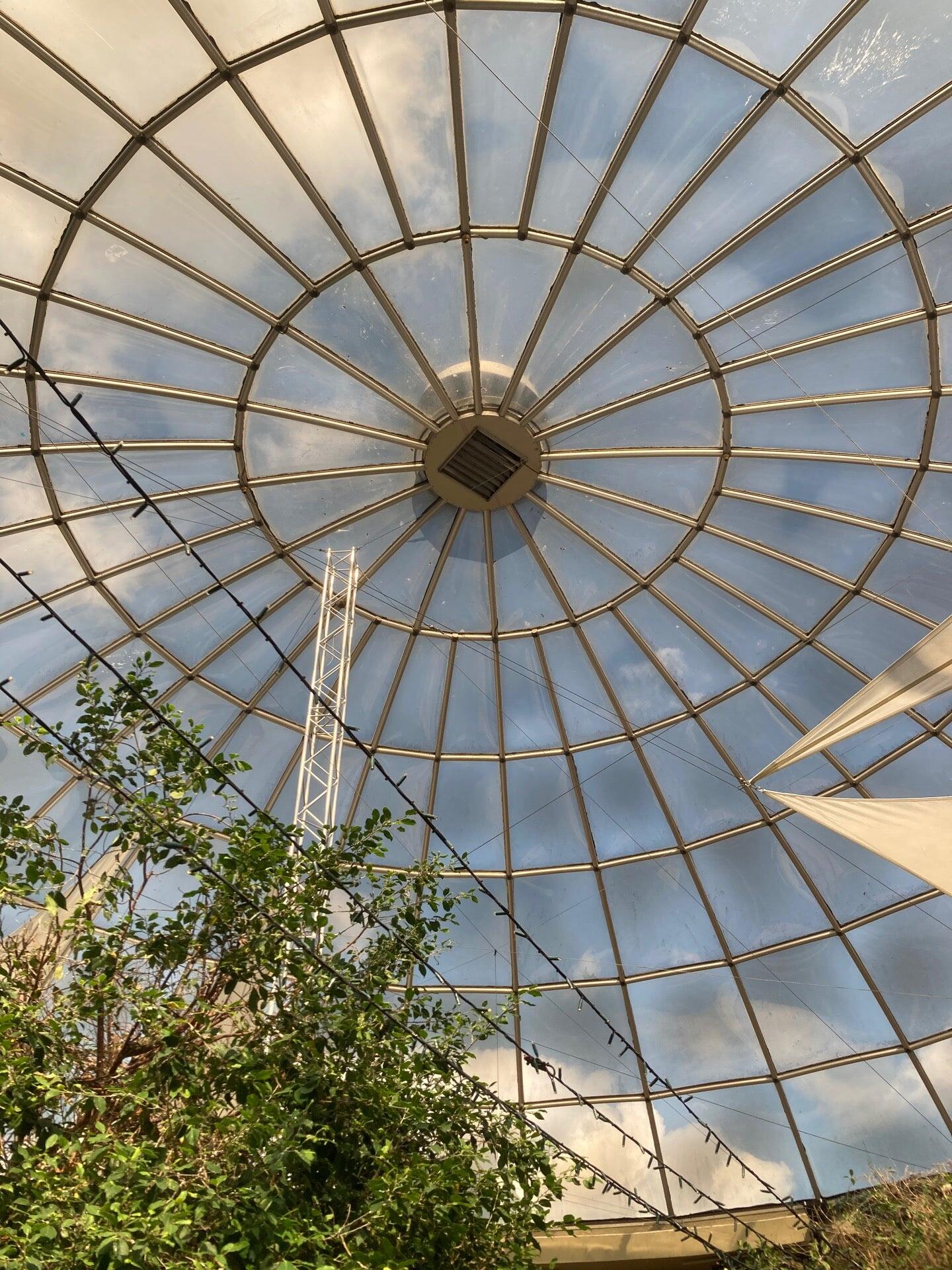 Pleasance Dome - Edinburgh - Nextdoor