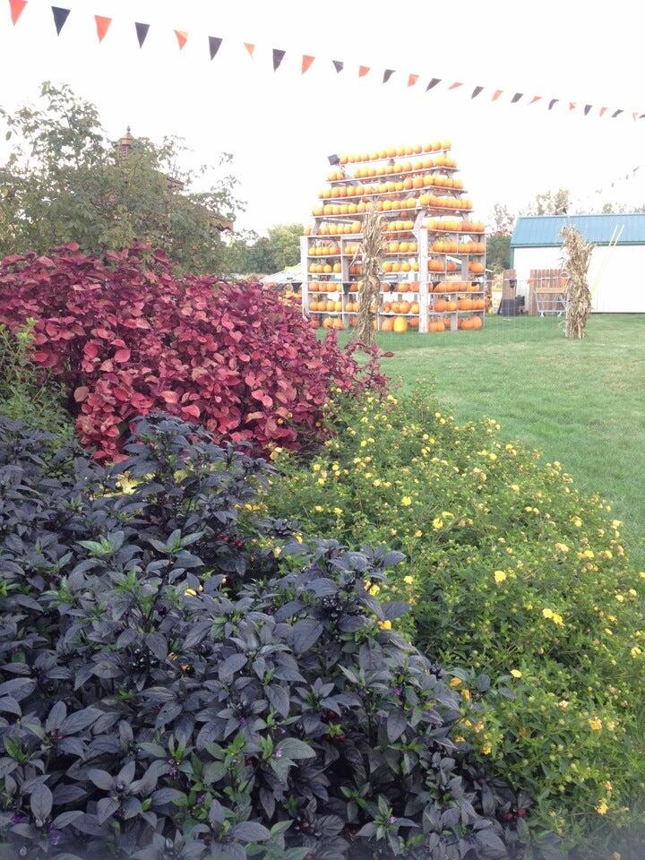 Meadow View Growers - New Carlisle, OH - Nextdoor