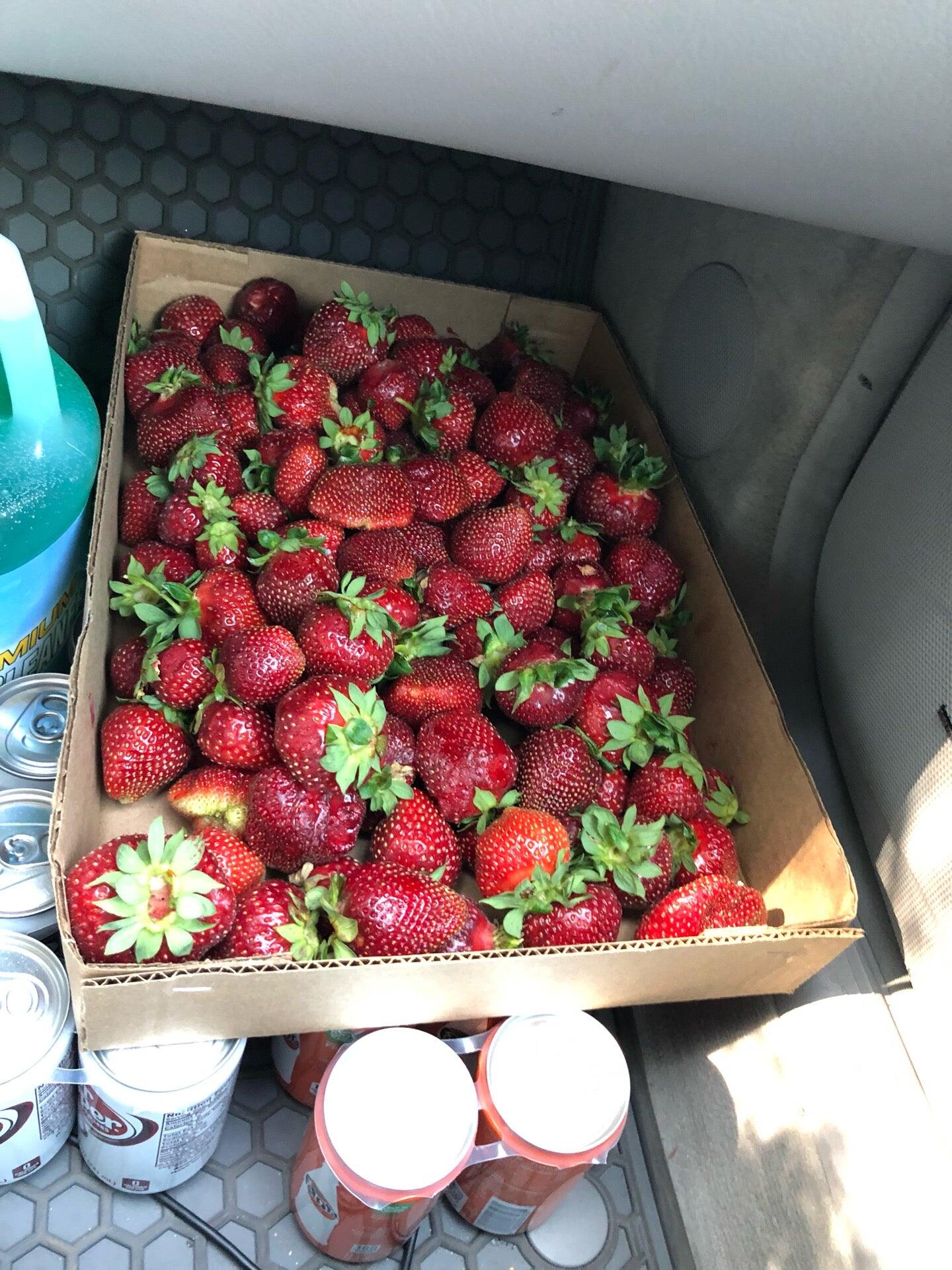 Cabbage Farm - Brodnax, VA - Nextdoor