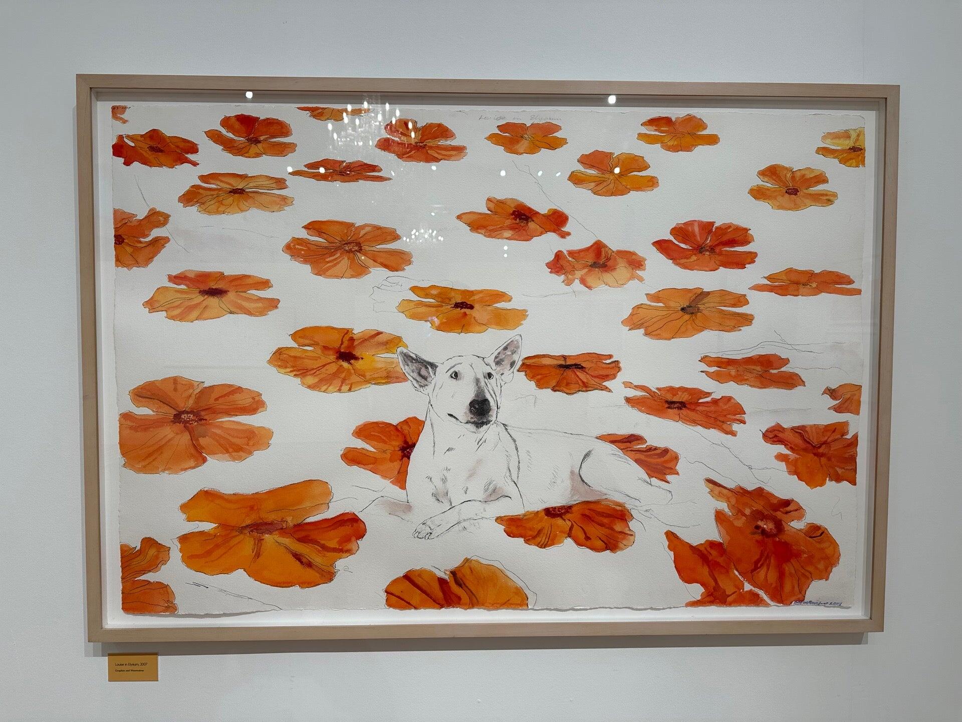 Mercer Art Gallery - Harrogate - Nextdoor