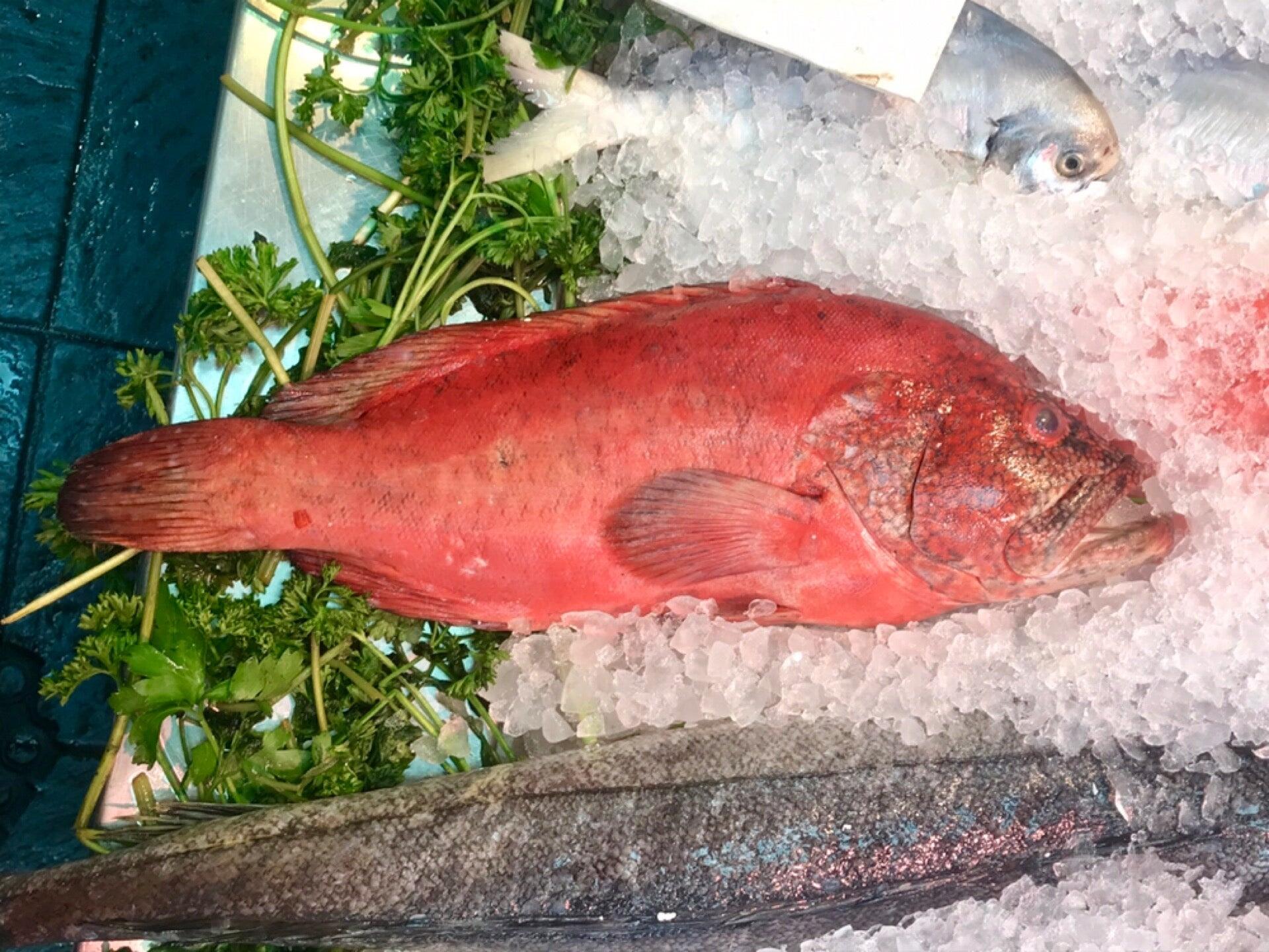 Ocean Catch - London - Nextdoor