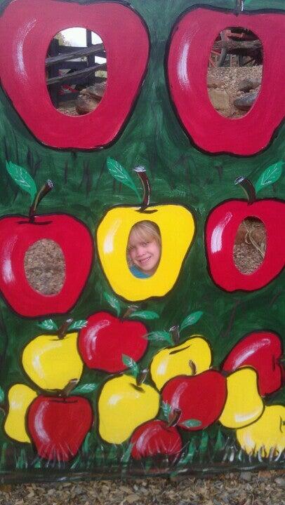 Goofy Rooster Corn Maze - Helen, GA - Nextdoor