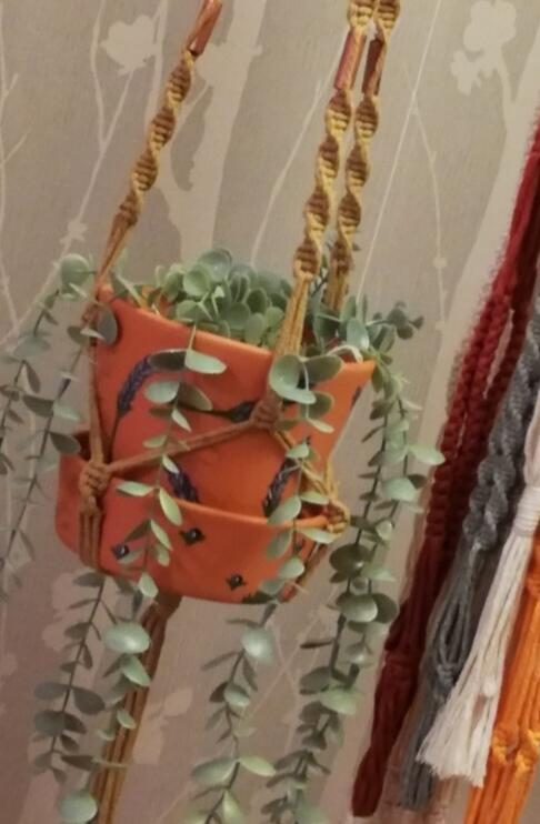 Zappy Pots mammoth SALE - Nextdoor