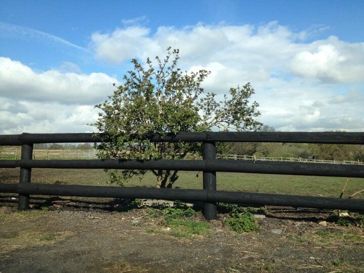 London Equestrian Centre - London - Nextdoor