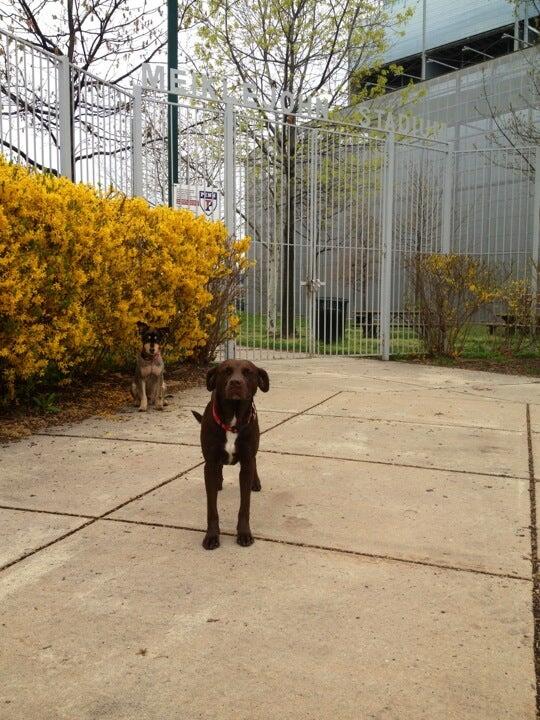 Meiklejohn Stadium - Nextdoor