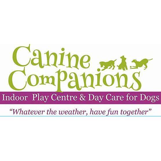 Canine Companions Indoor Play Centre & Day Care for Dogs - Wigan - Nextdoor