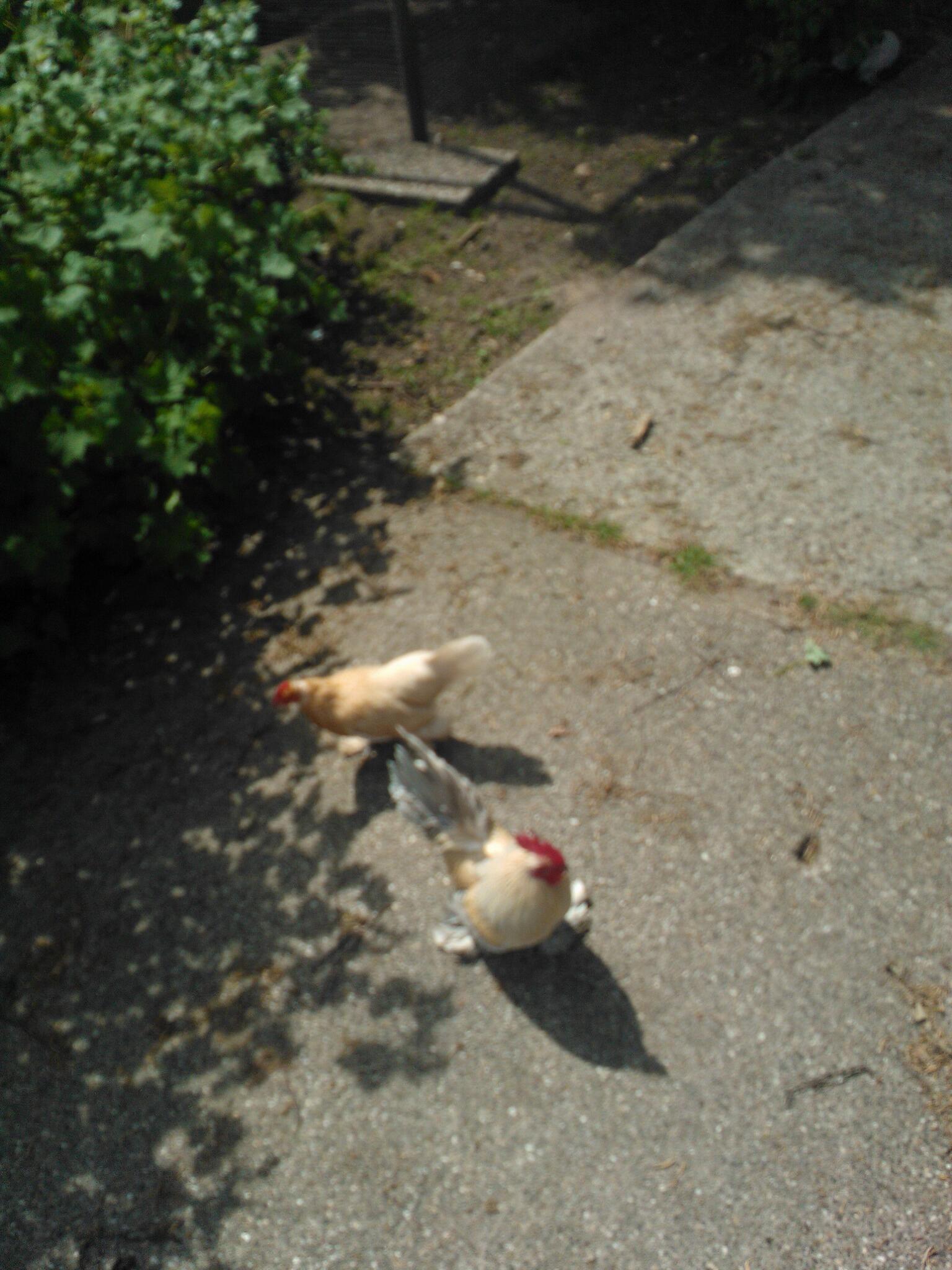 Grutter Café De - Nextdoor