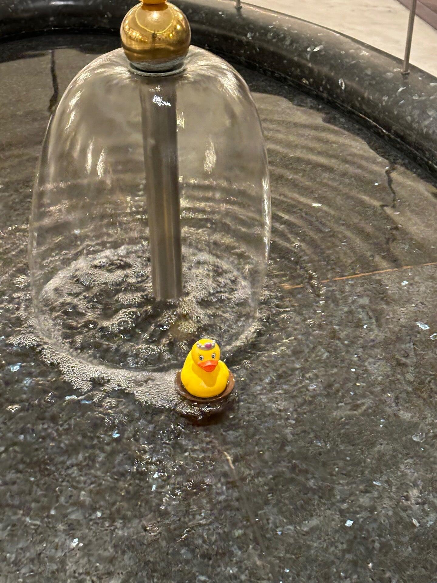 Phoenix Copenhagen - Nextdoor