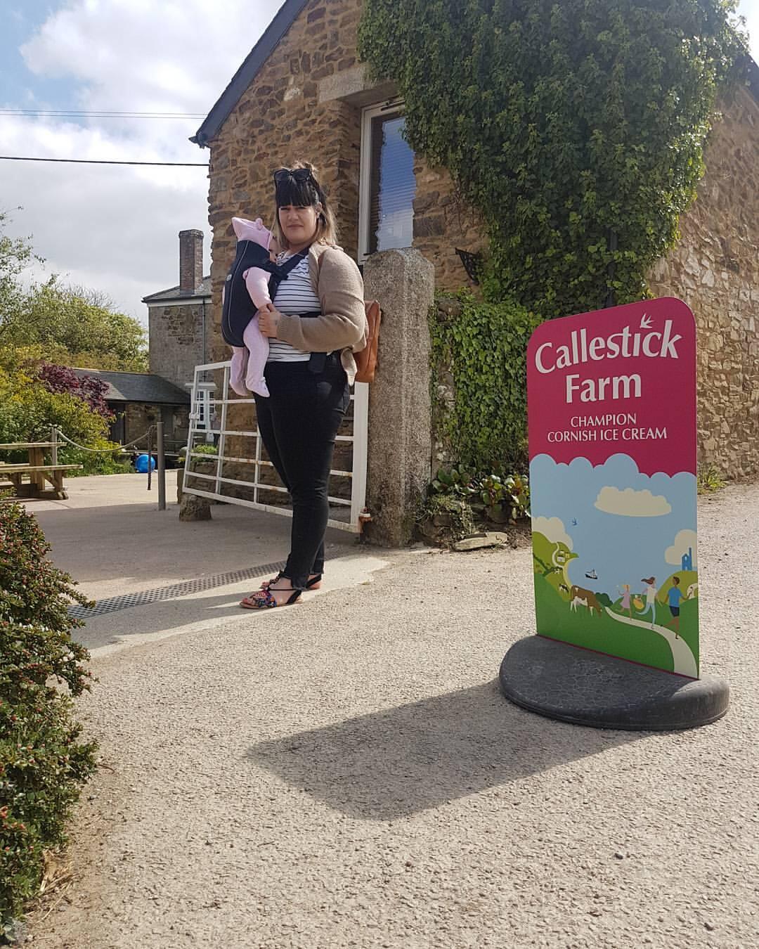 Callestick Farm Cornish Dairy Ice Cream - Callestick - Nextdoor