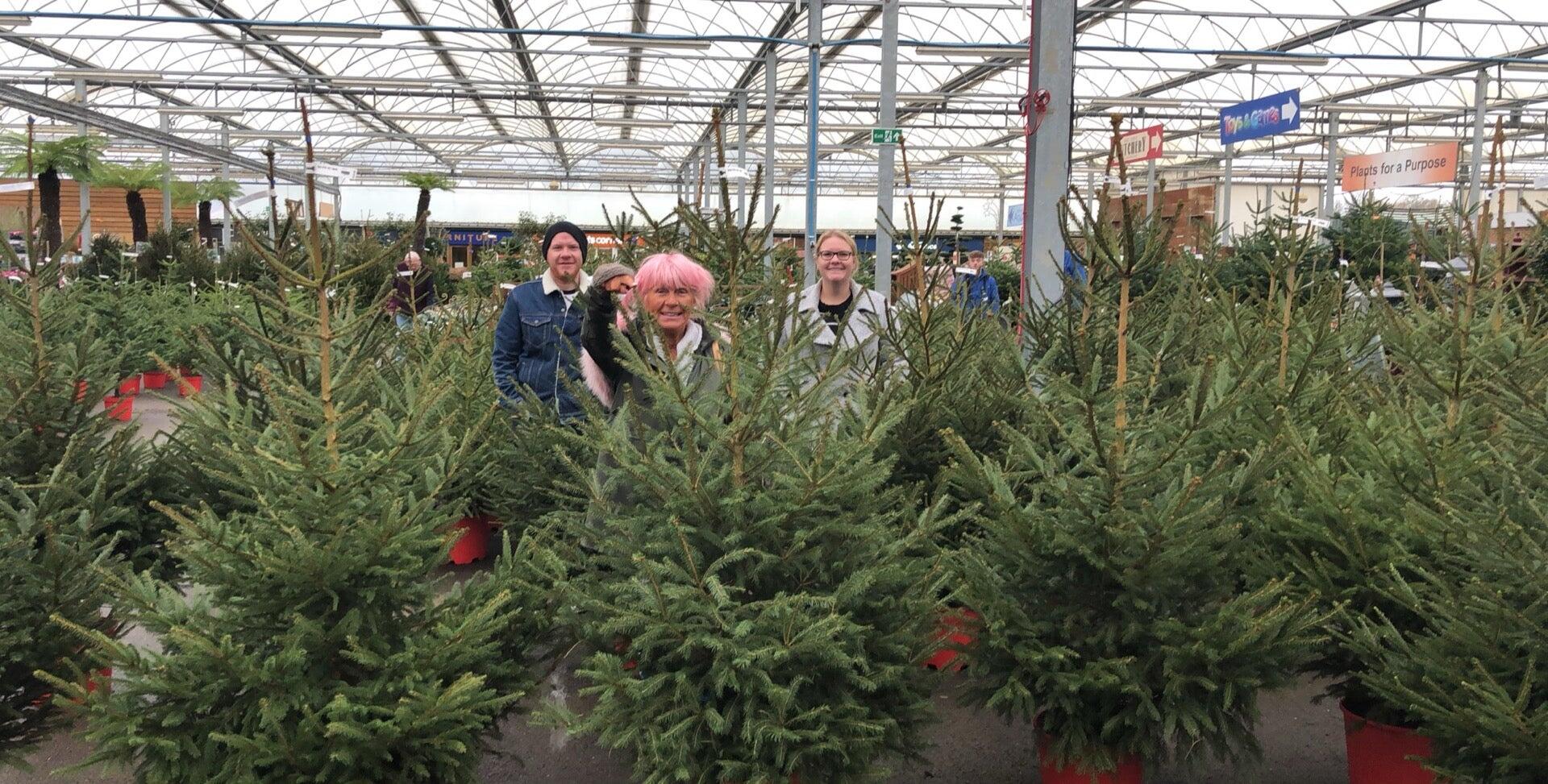 Waterside Garden Centre - Baston - Nextdoor