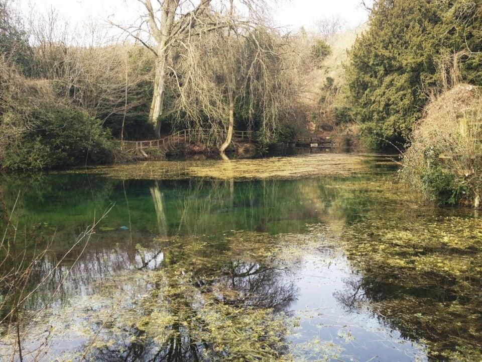 Silent Pool - Albury - Nextdoor