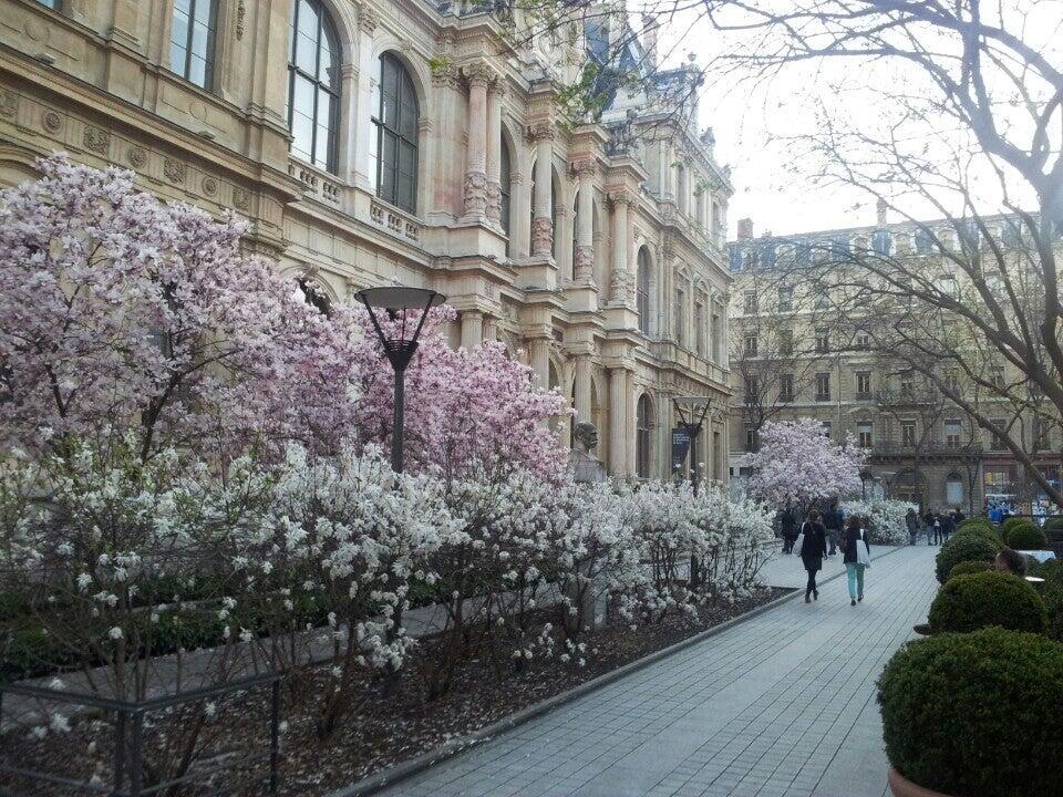 Comptoir de la Bourse - Nextdoor
