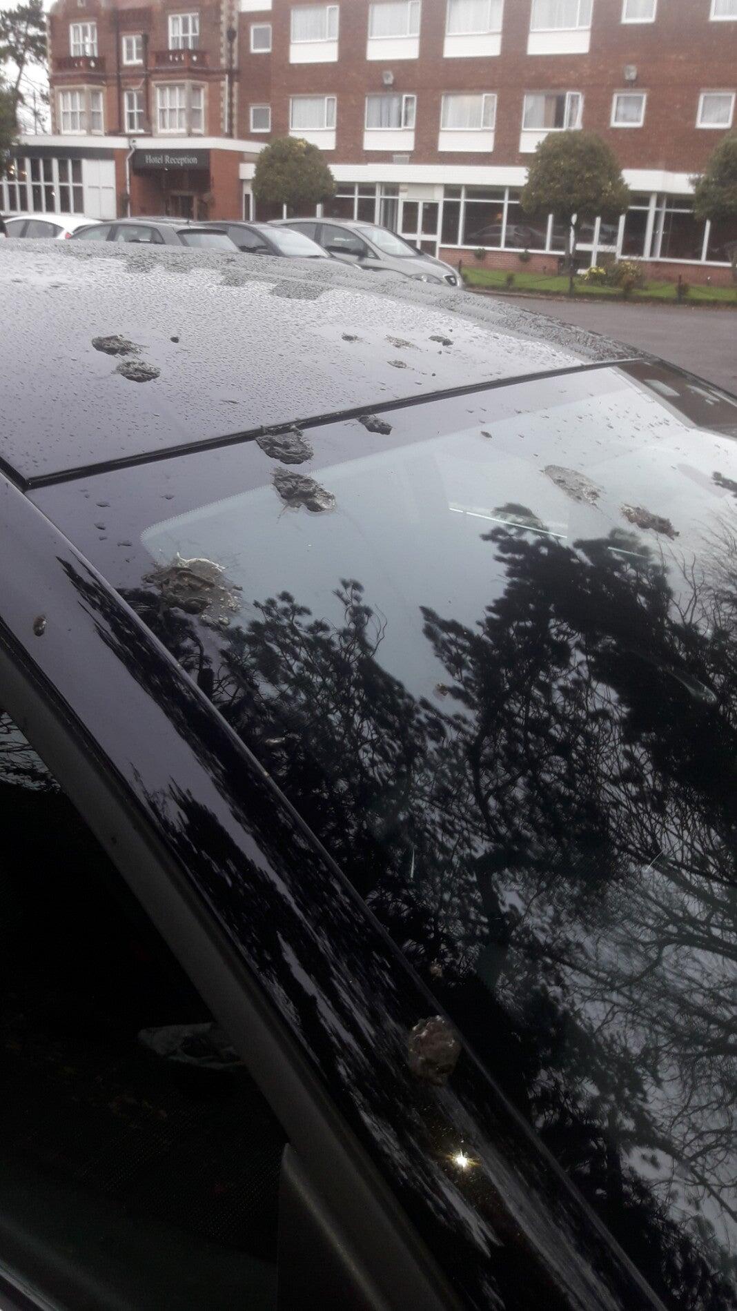 Orwell Hotel - Felixstowe - Nextdoor