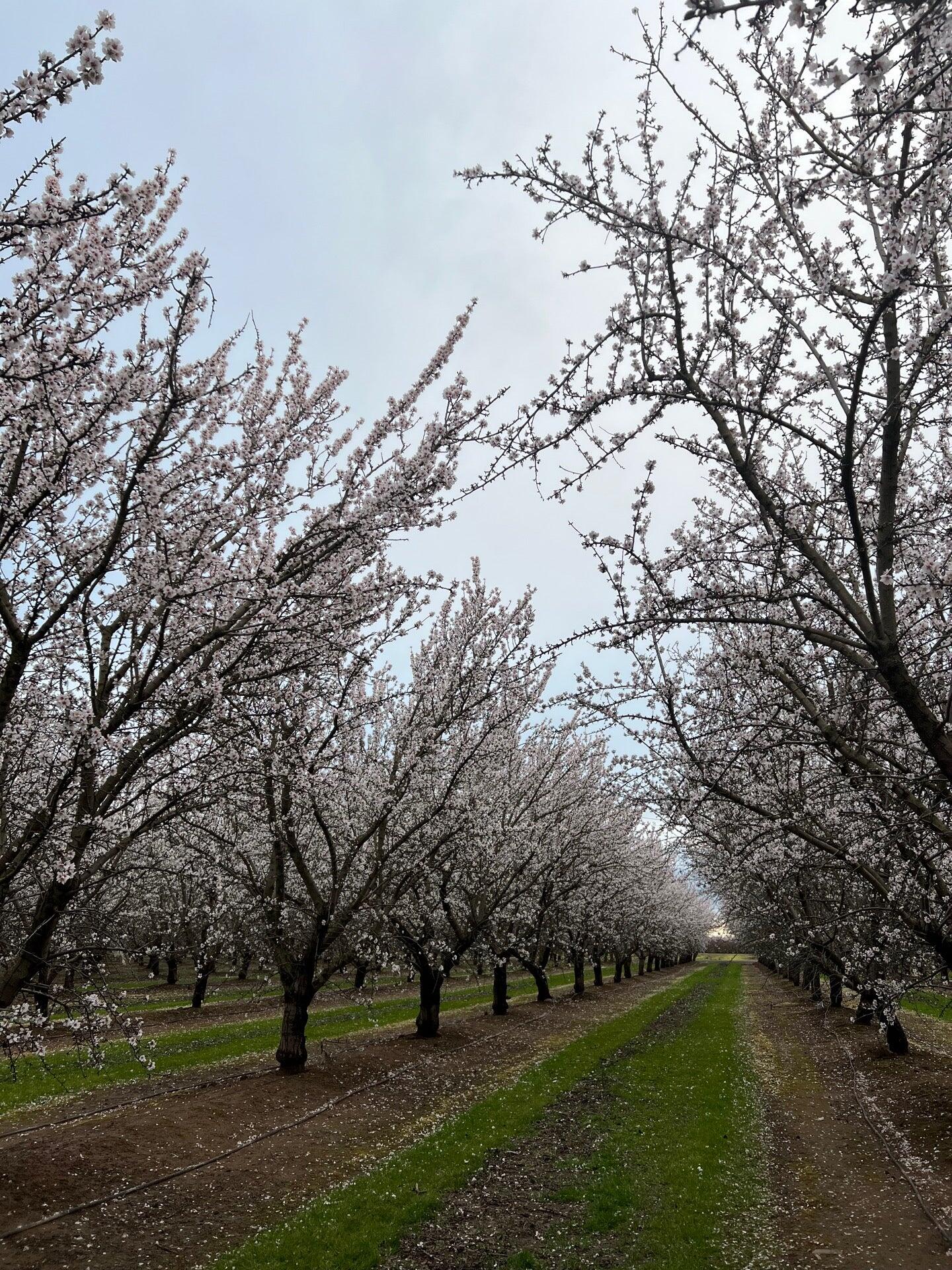 Rodin Farms - Modesto, CA - Nextdoor