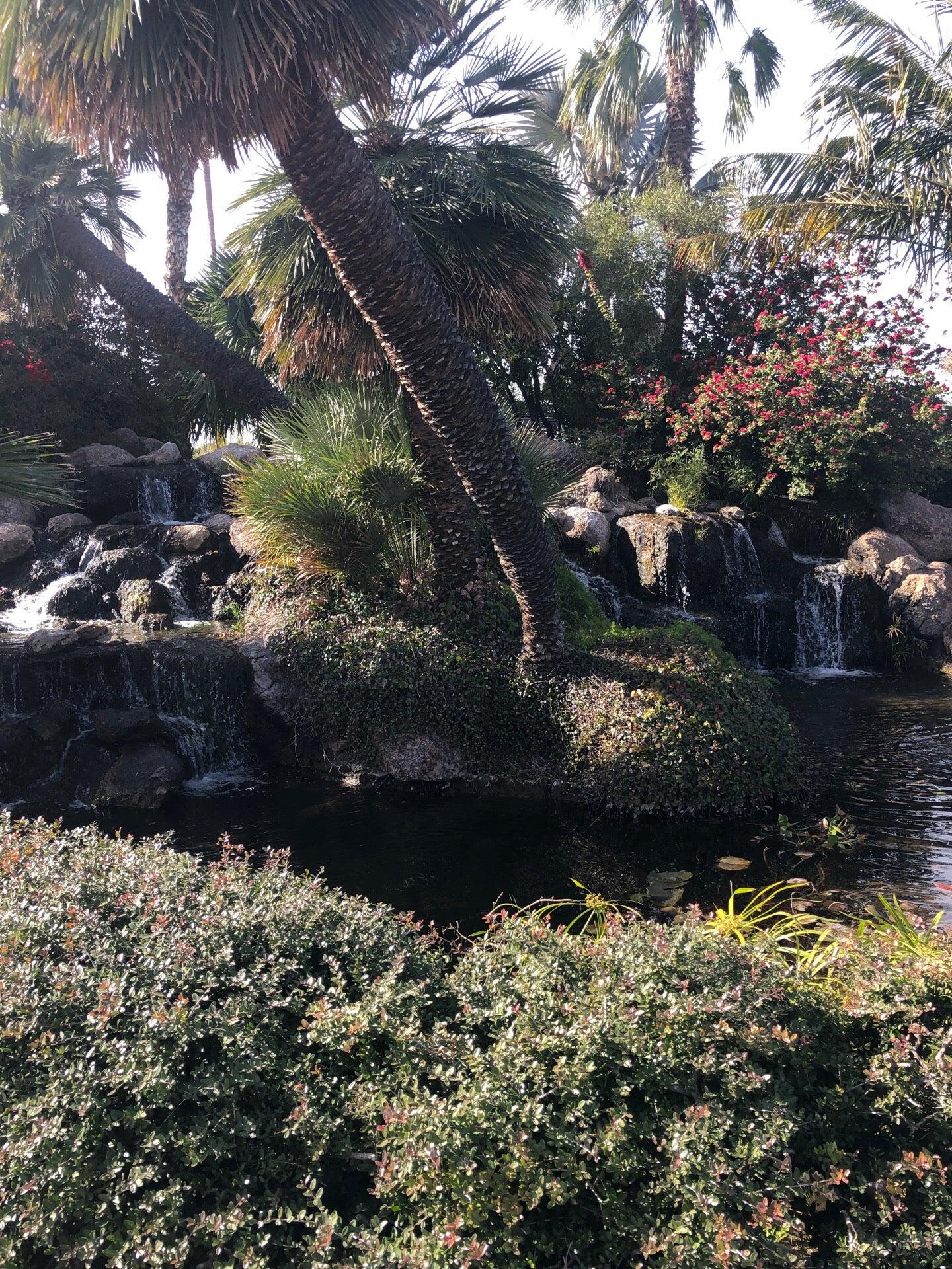 Treeland Nurseries - Mesa, AZ - Nextdoor