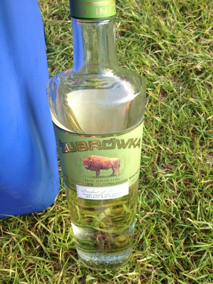 Trevella Caravan & Camping Park - Crantock - Nextdoor