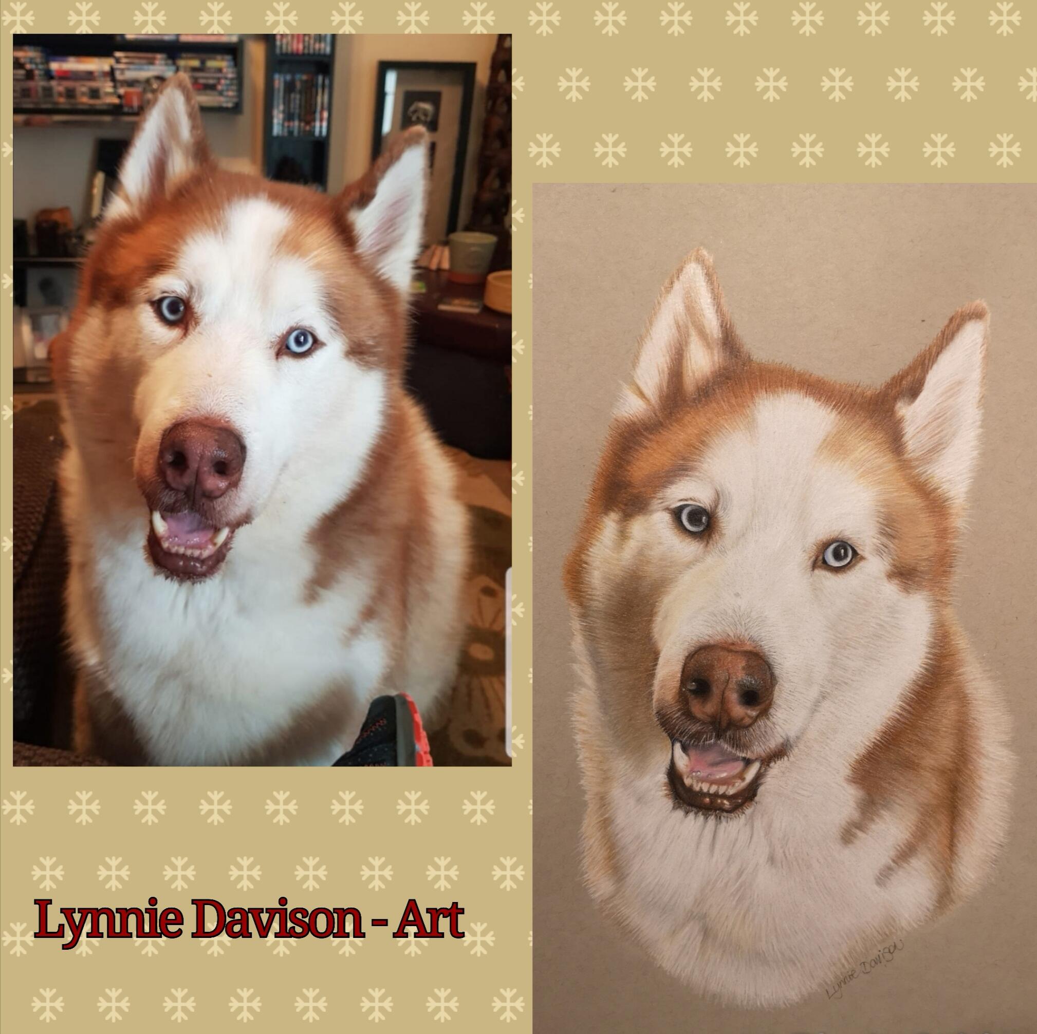 Lynnie Davison - ART - Grantham, GB-ENG - Nextdoor