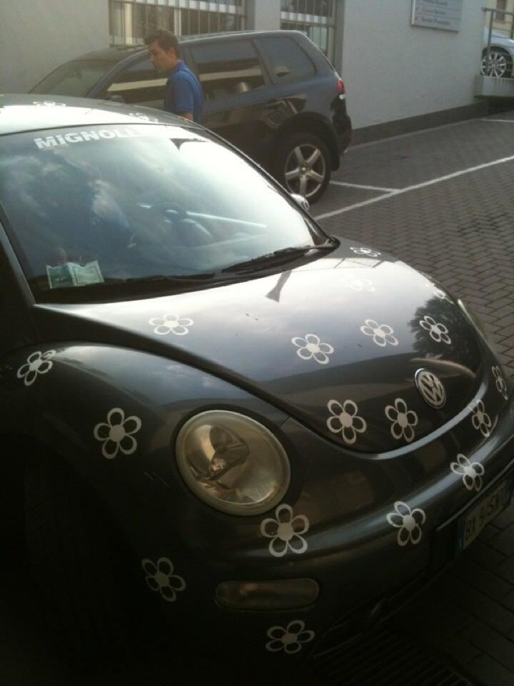 Mignolli Auto - Nextdoor