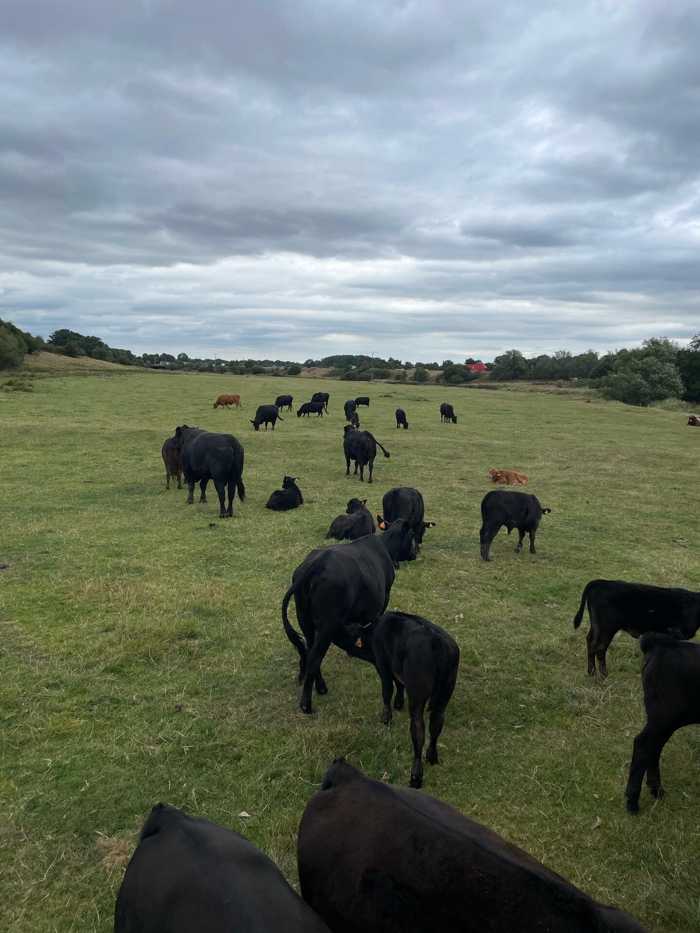 Lower Drayton Farm - Penkridge - Nextdoor