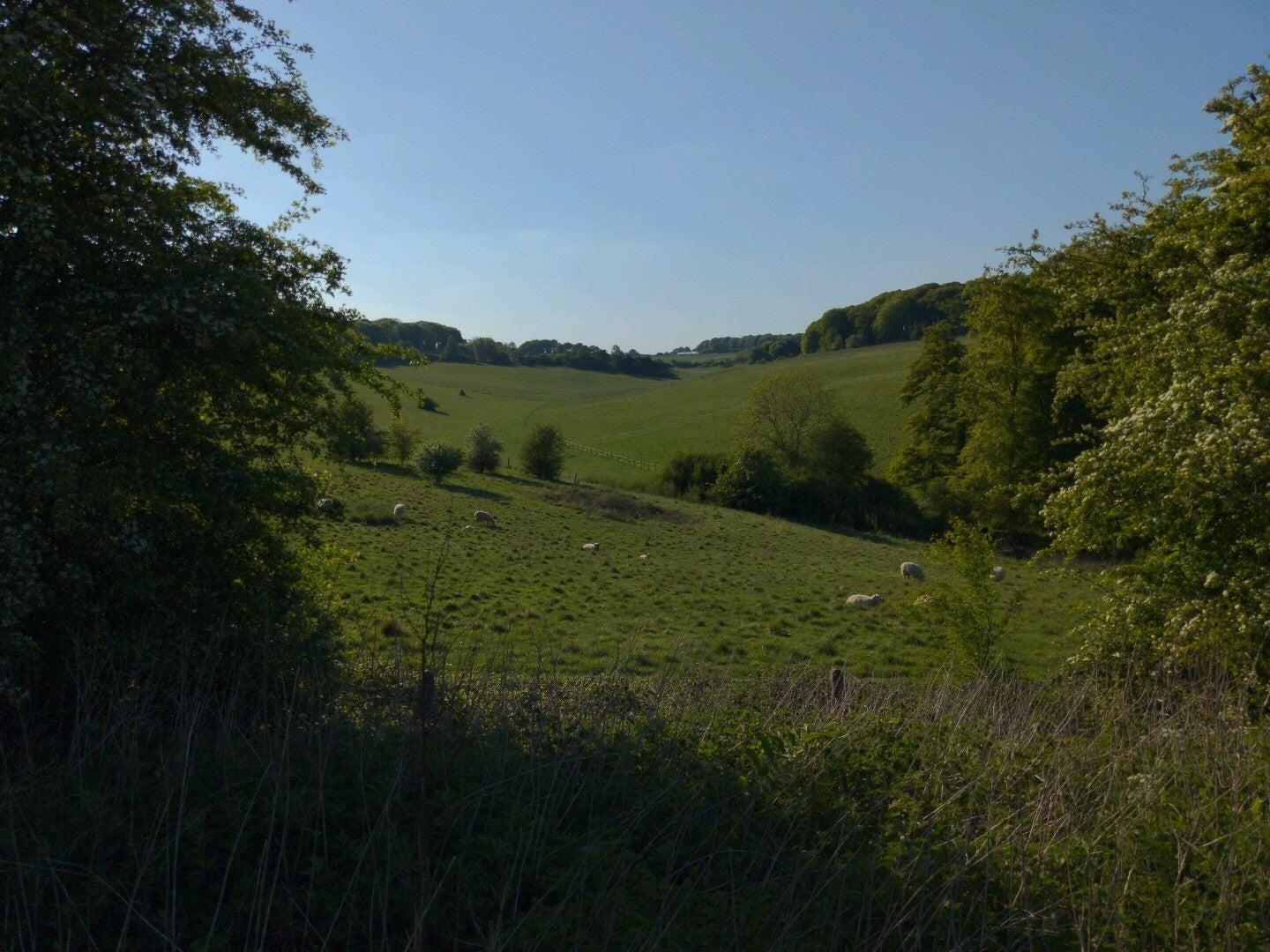 The Community Centre at Studley Green - Studley Green - Nextdoor