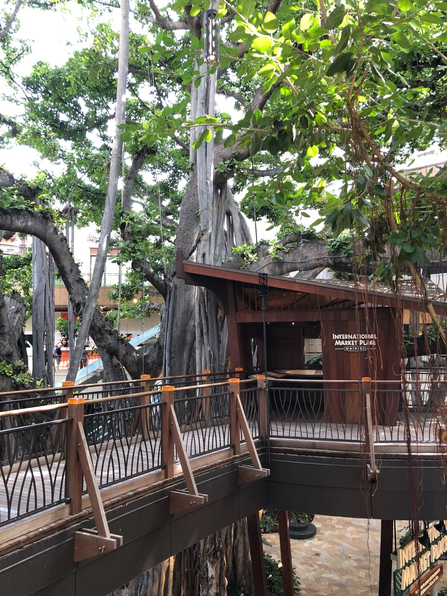 Don the Beachcomber Treehouse - Honolulu, HI - Nextdoor