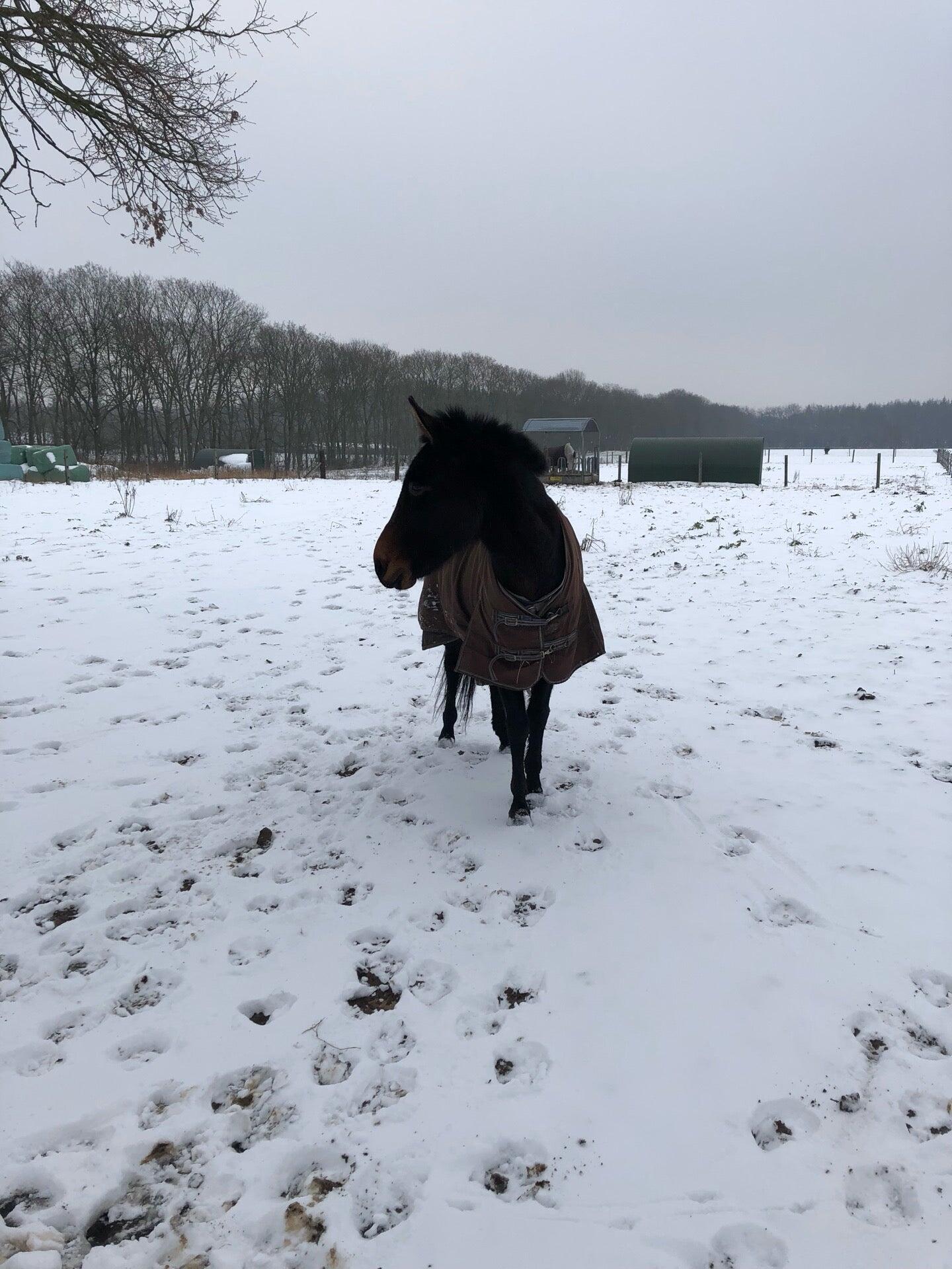 The Mill Ranch - Nextdoor