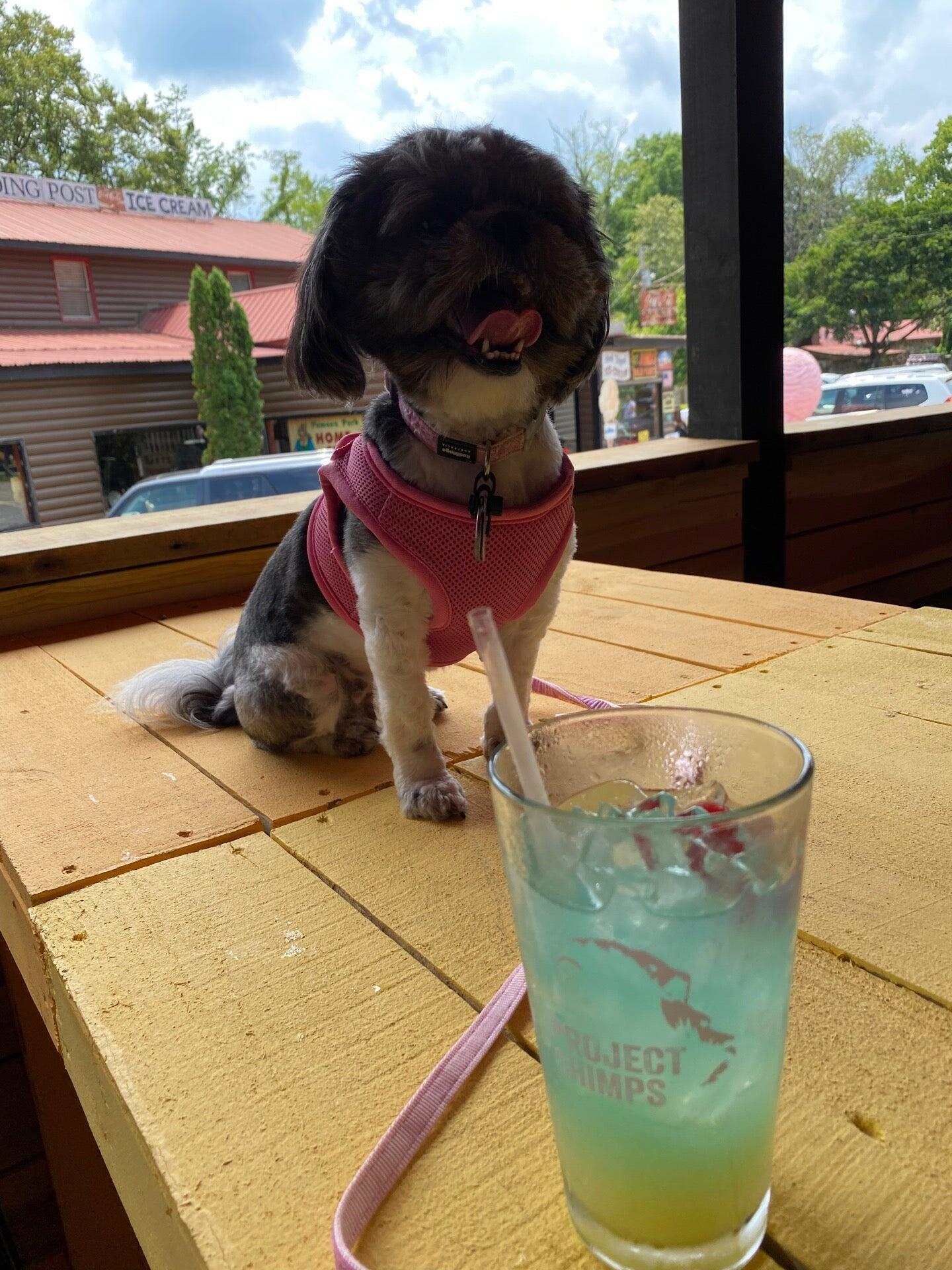 Mimms Distillery Grandaddy - Blairsville, GA - Nextdoor