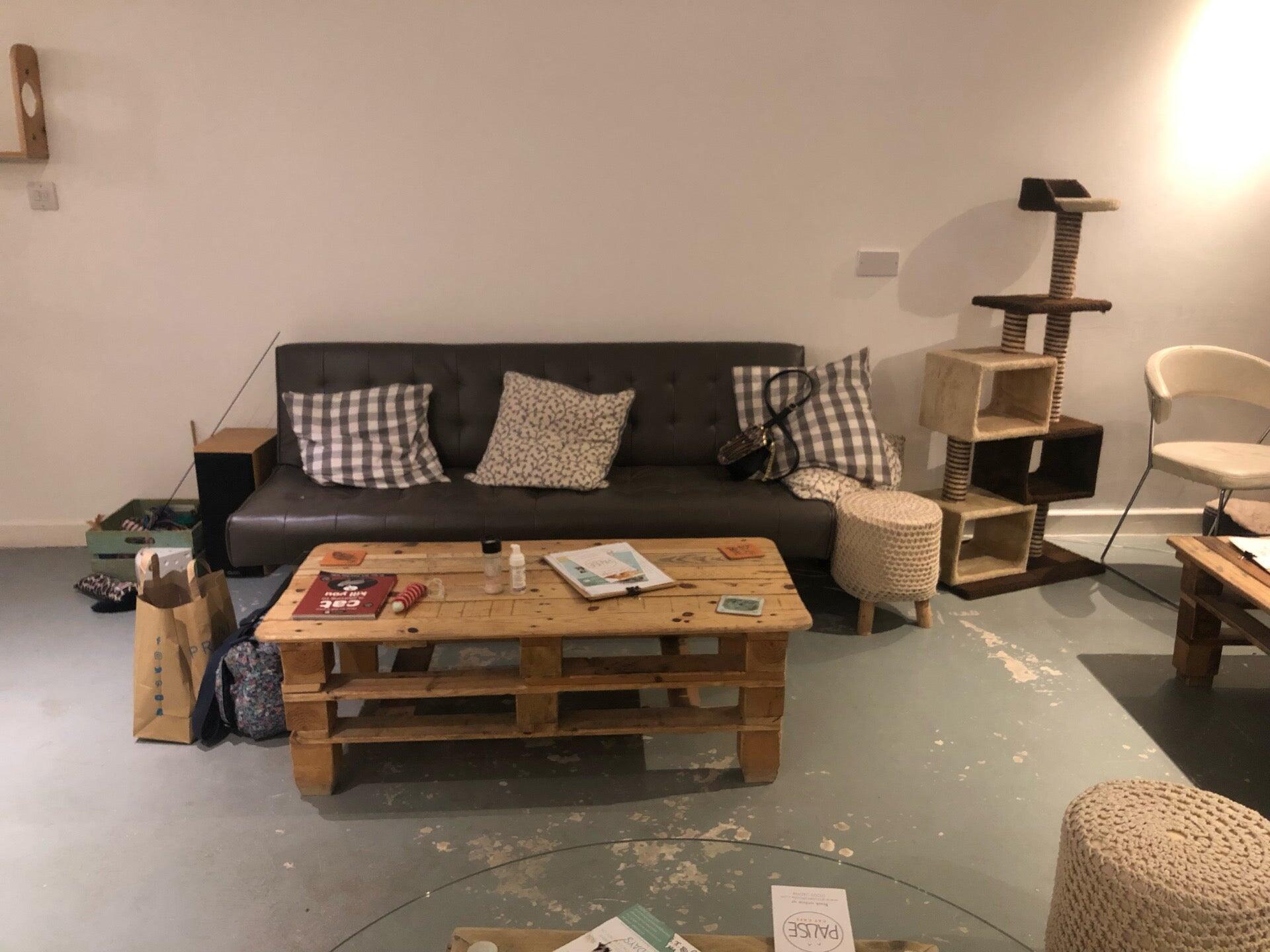 Pause Cat Cafe - Bournemouth - Nextdoor