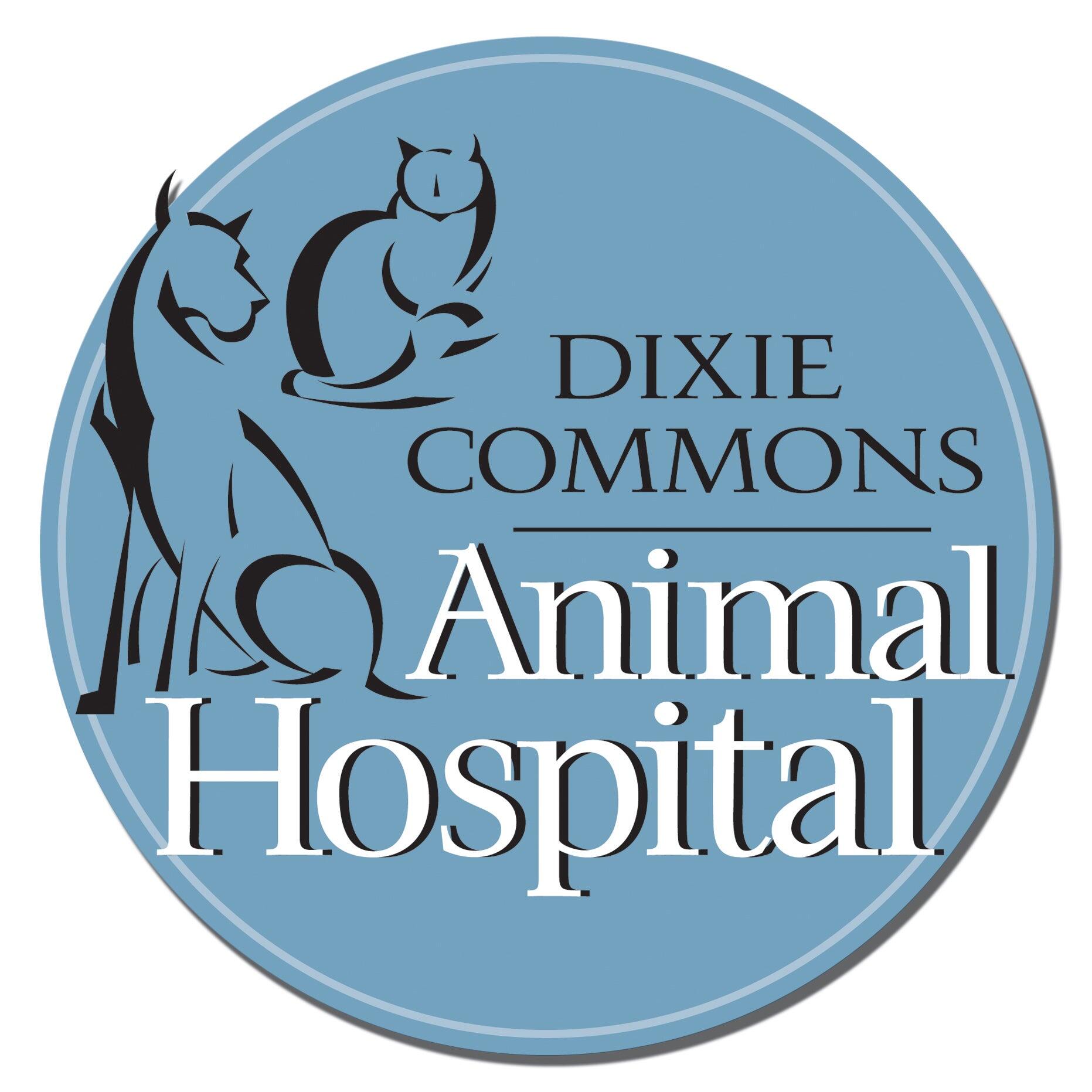 Dixie Commons Animal Hospital - Bunnell, FL - Nextdoor