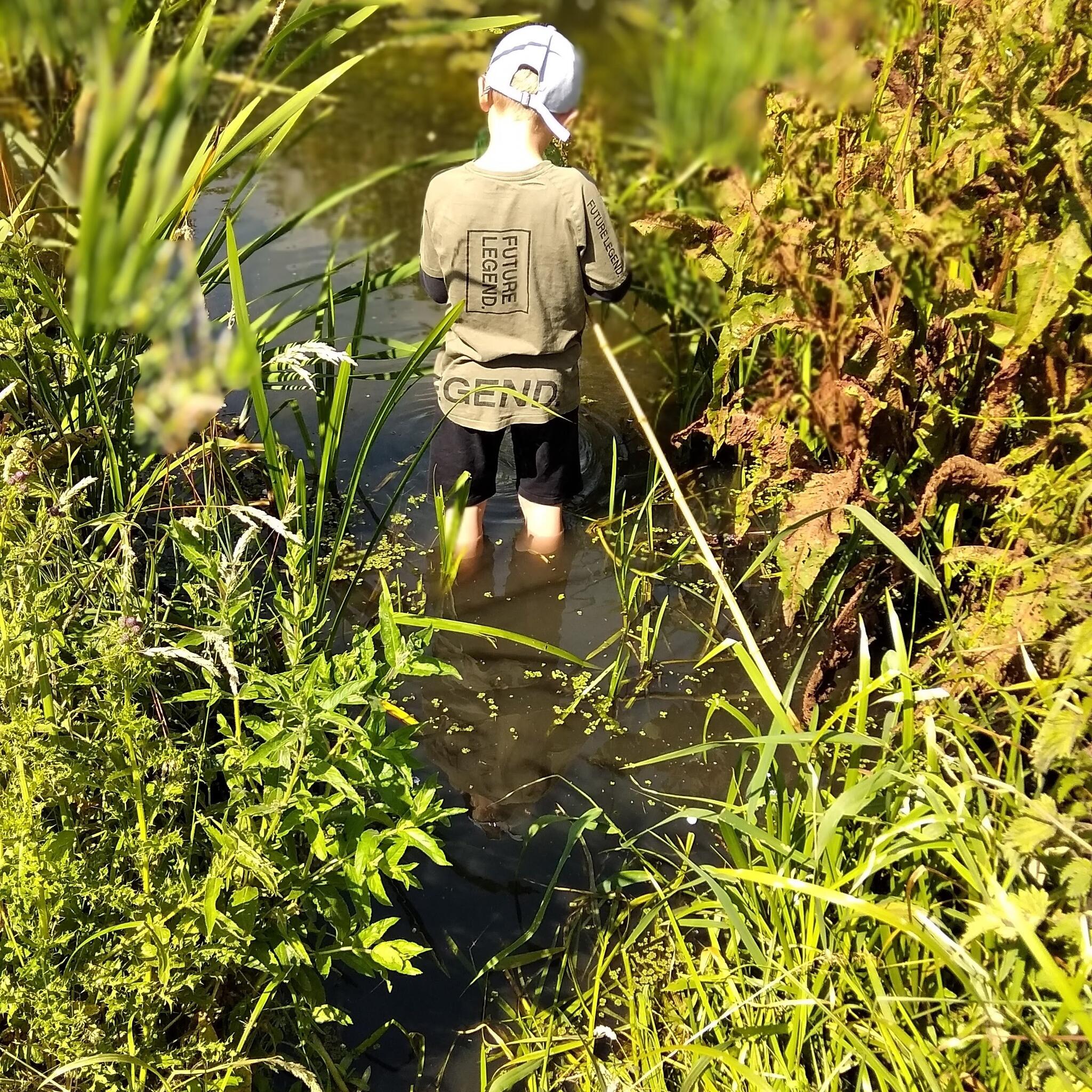 Earthwake CIC - Harleston, GB-ENG - Nextdoor