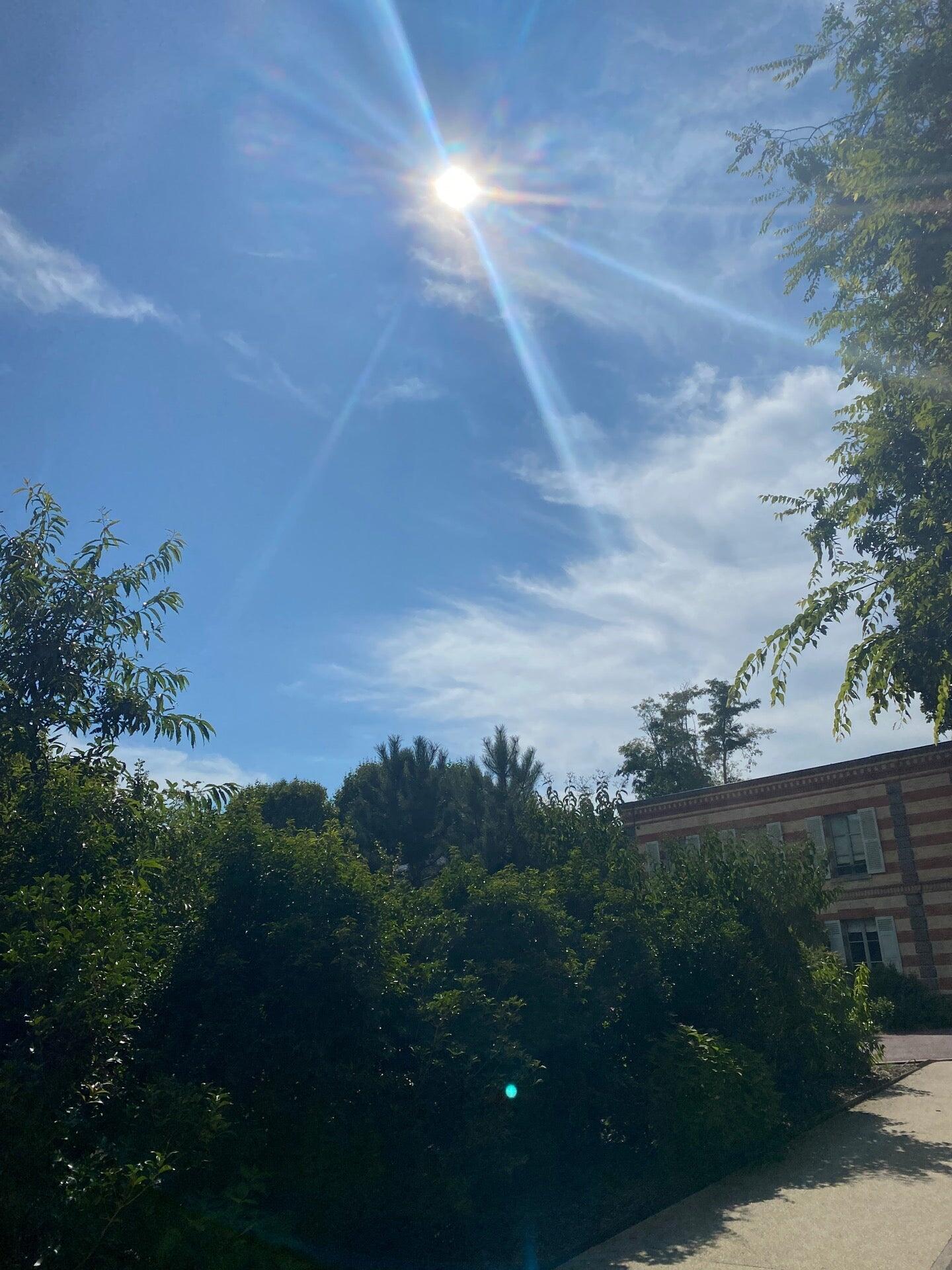 Le Jardin d'Acclimatation - Nextdoor