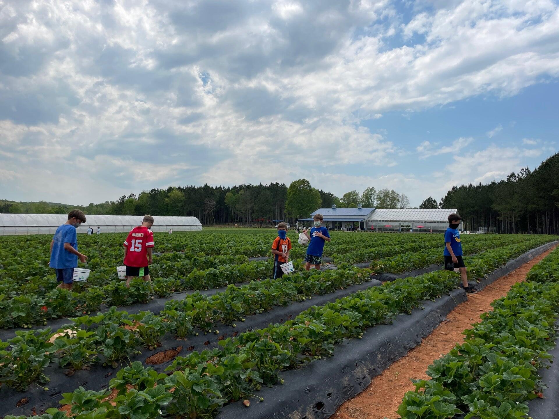 Eno River Farm - Hillsborough, NC - Nextdoor