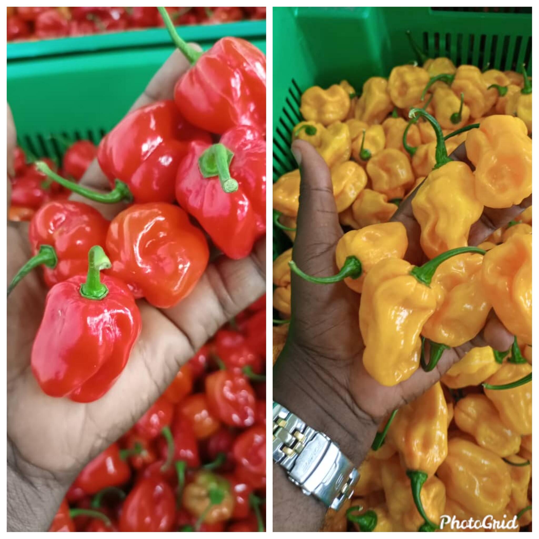 Funbella Afro-Caribbean Store - Rainham, England - Nextdoor