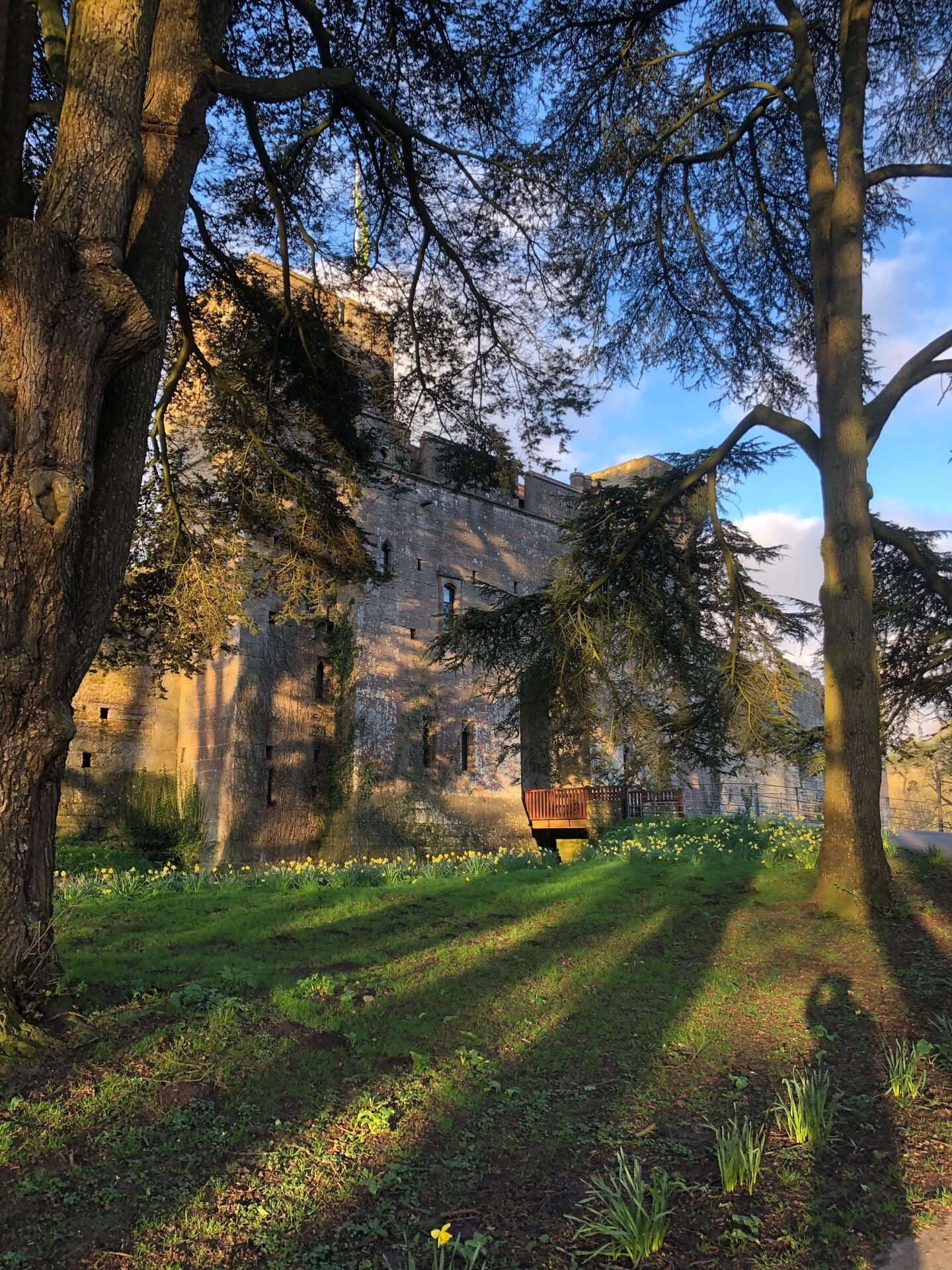 The Castle - Caldicot - Nextdoor