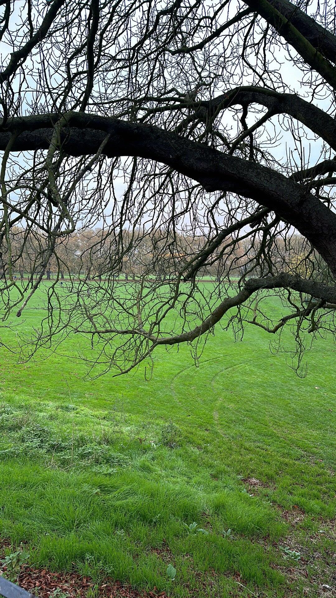 Jesus Green Swimming Pool - Cambridge - Nextdoor
