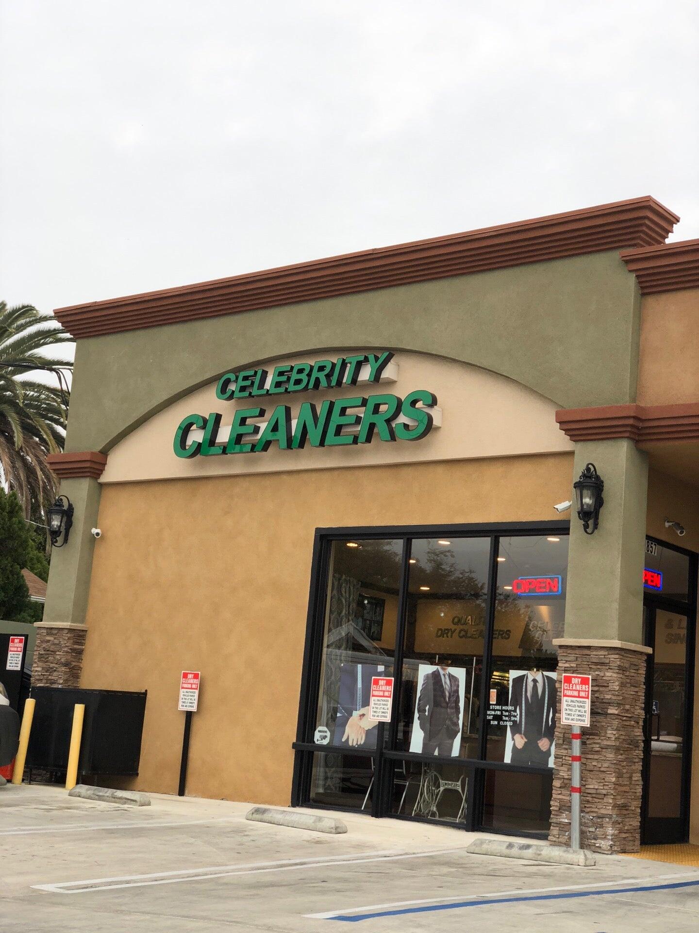 Celebrity Dry Cleaners 60 Photos - Moonagedaydream.film