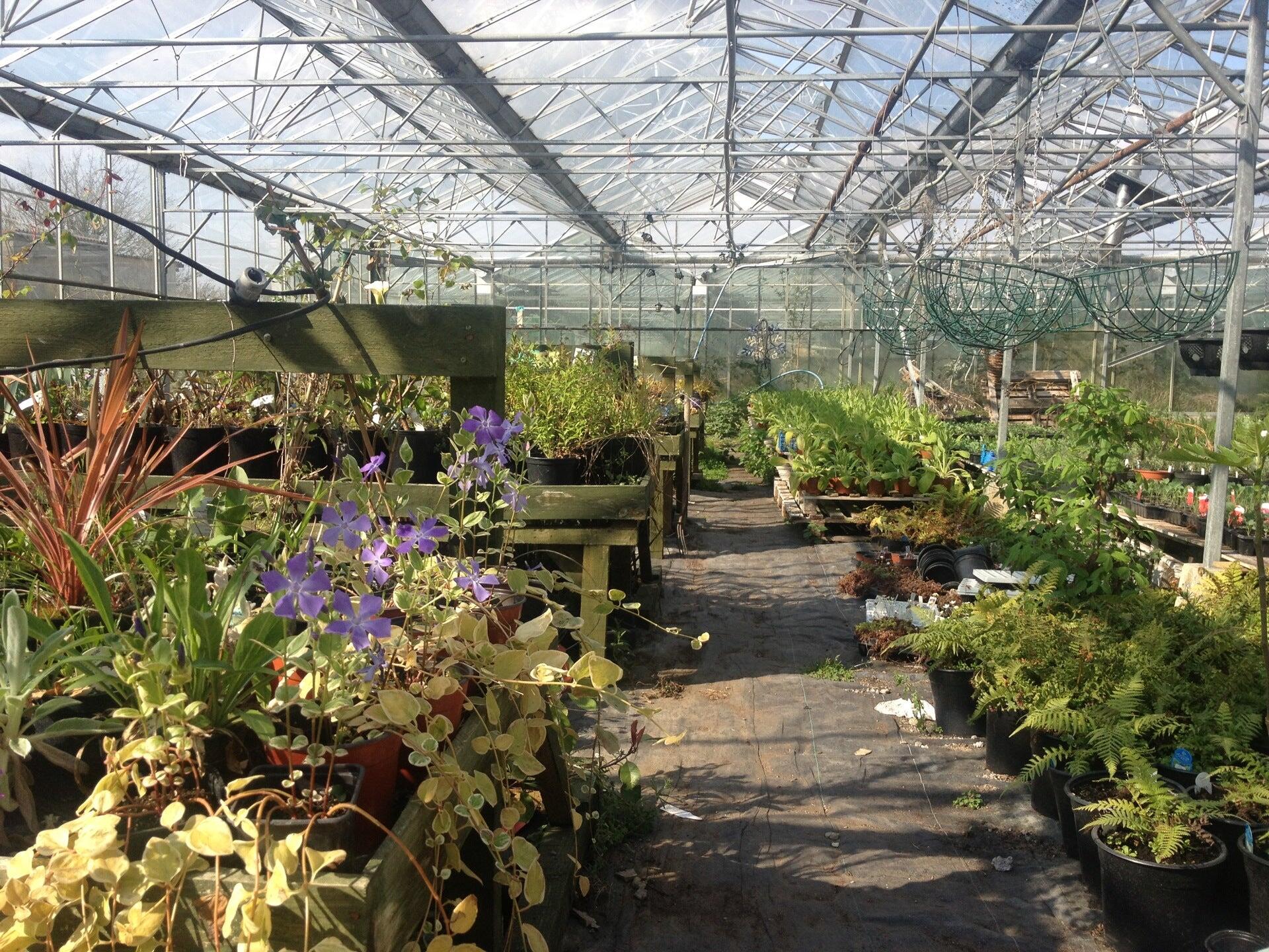 Broadleaze Nursery - Keynsham - Nextdoor