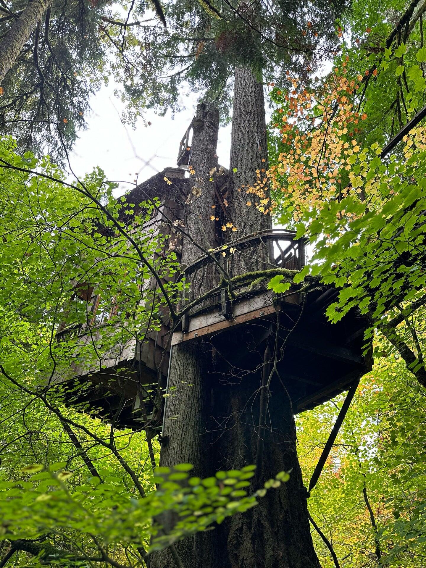 Treehouse Point - Issaquah, WA - Nextdoor