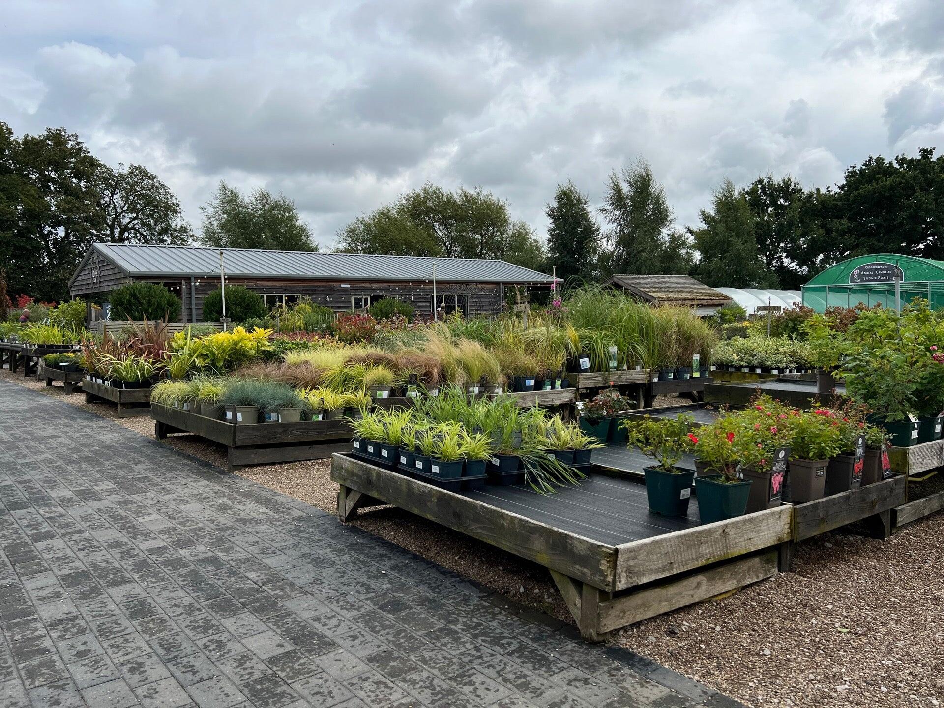 Pip Tree Cafe - Borrowash - Nextdoor