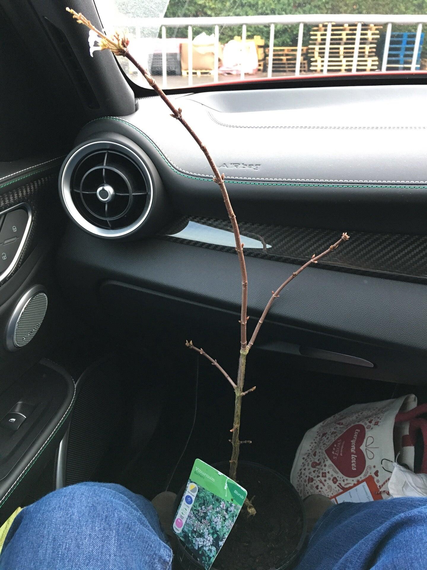 Podington Garden Centre - Podington - Nextdoor