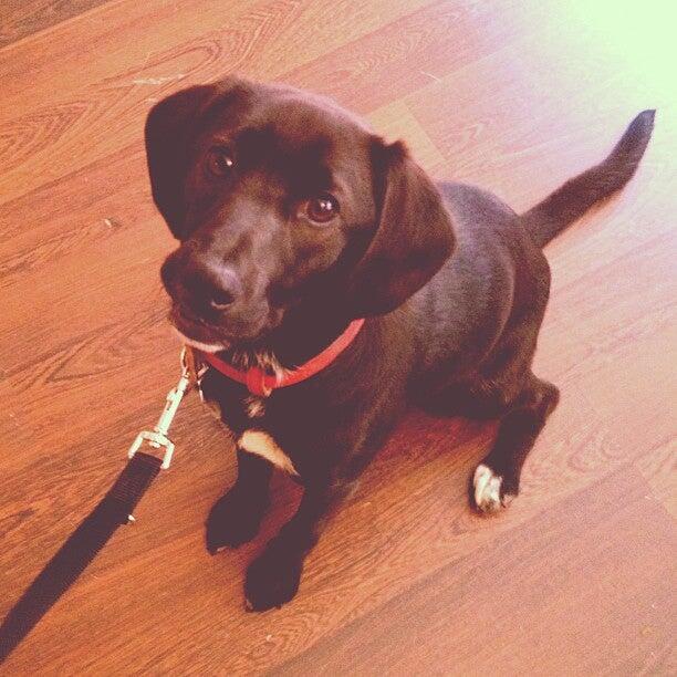 Humanitas Shop - Hitchin - Nextdoor