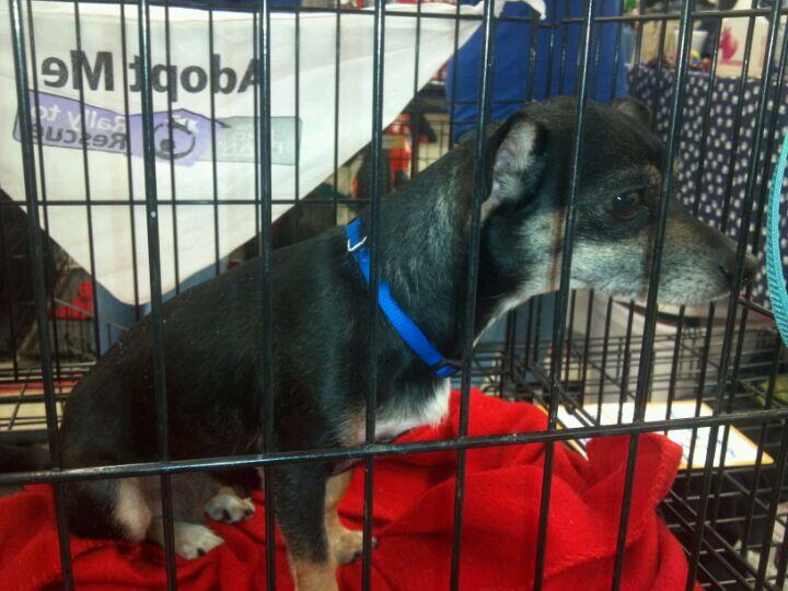 Tractor Supply Company - Traverse City, MI - Nextdoor