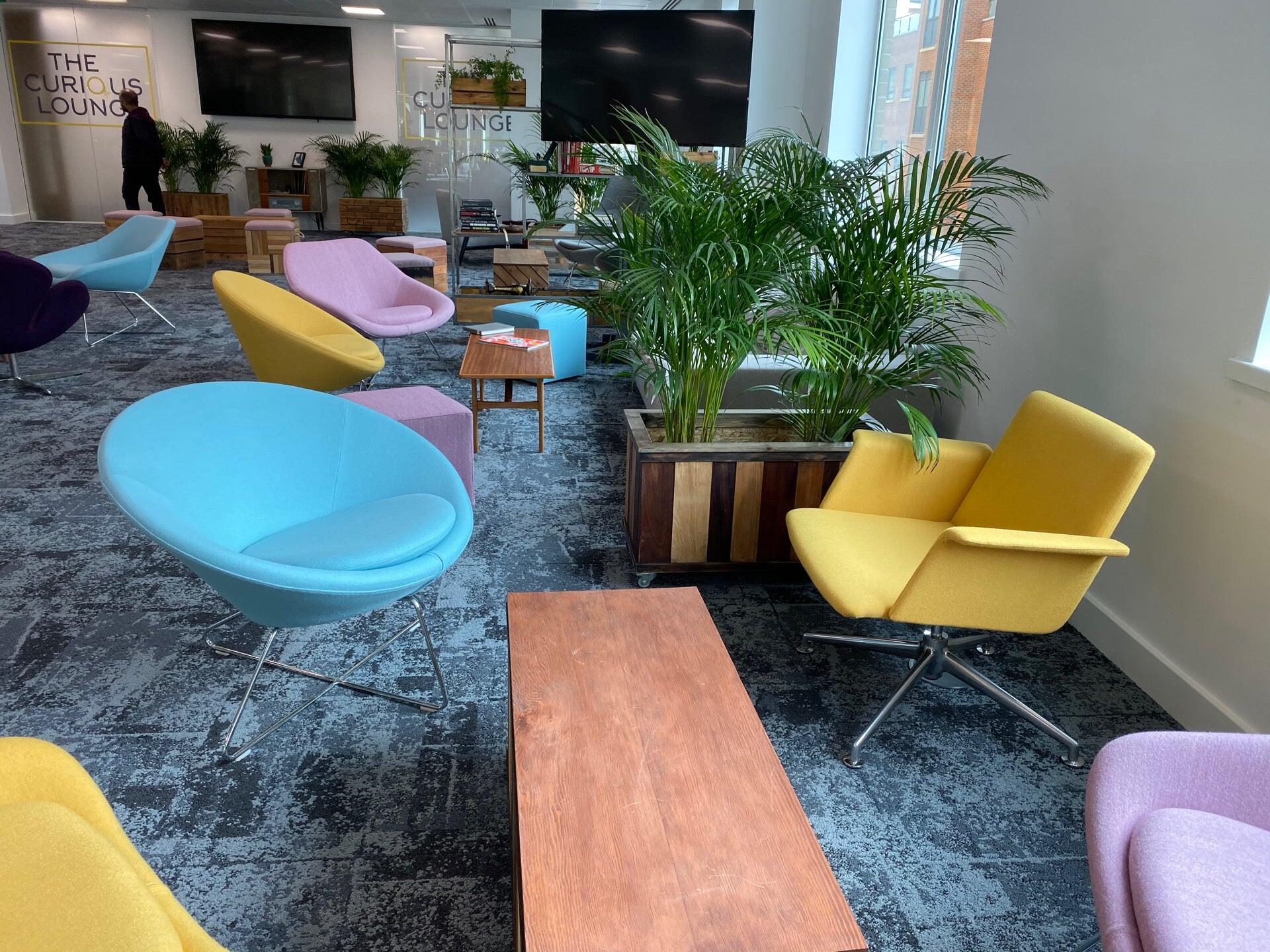 The Curious Lounge - Reading - Nextdoor