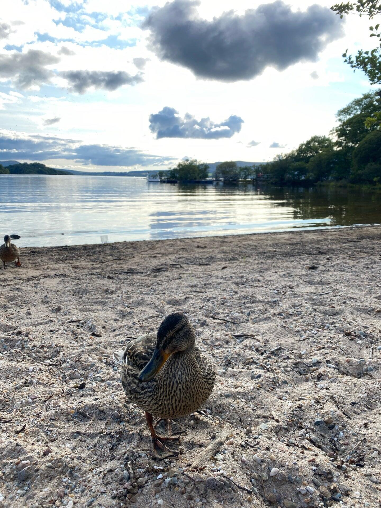 Inchmurrin Island - Glasgow - Nextdoor