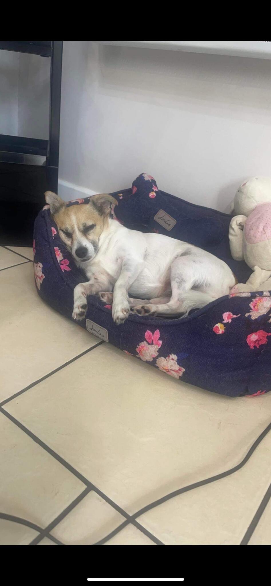 Shear Illusions - Norwich - Nextdoor